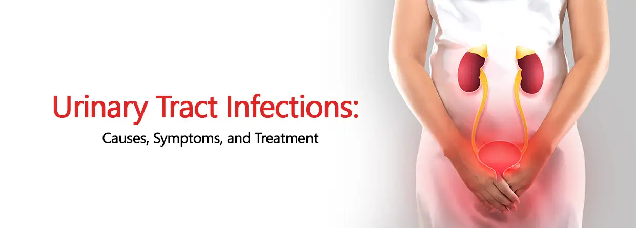 Urinary Tract Infections (UTI): Symptoms, Causes & Effective Treatments